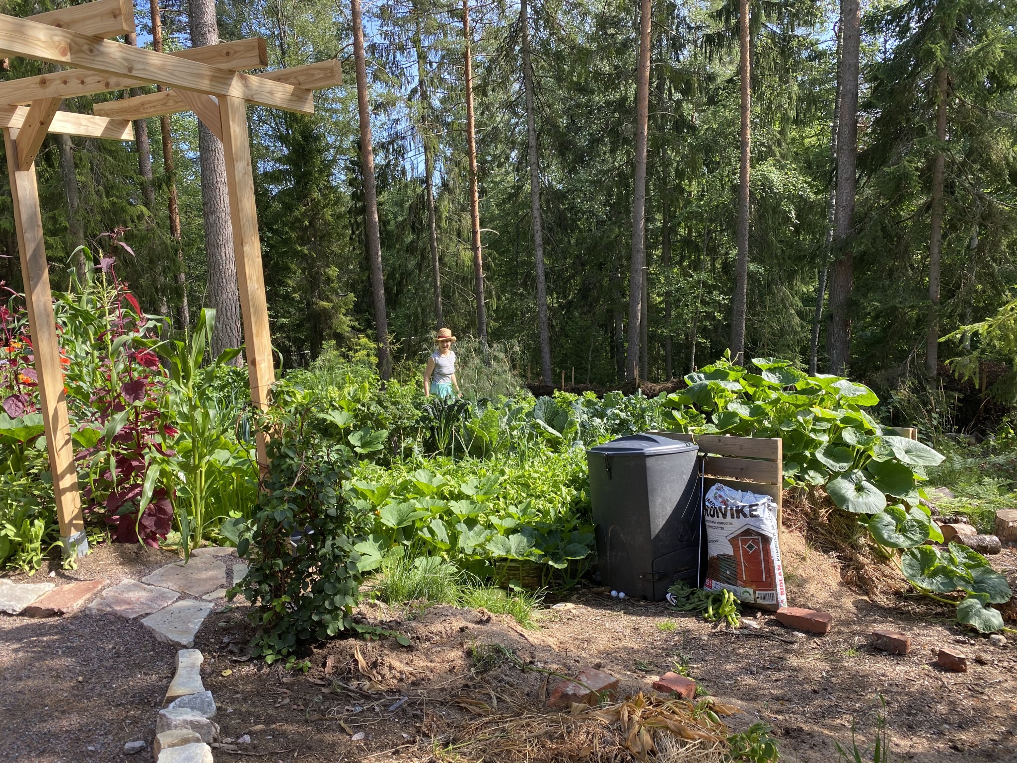 Kasvimaa omalle pihalle helposti - Maria Nordin
